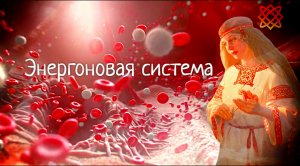 ЭНЕРГОНОВАЯ СИСТЕМА КРОВИ * КРОВОСМЕШЕНИЕ