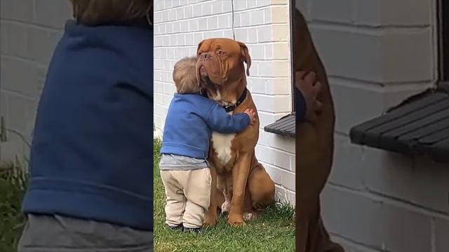 обнимашки.mp4