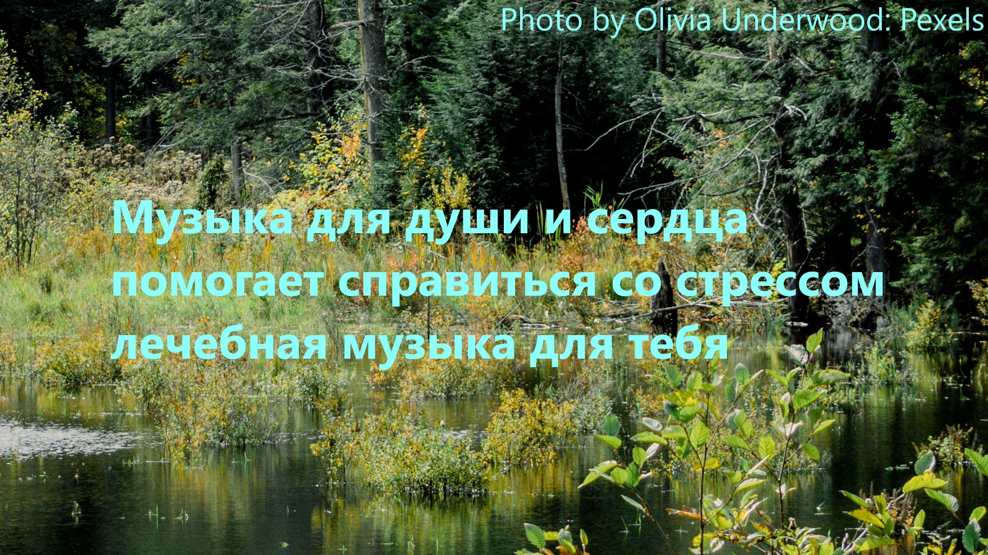 Музыка для души и сердца снимает стресс и лечит организм лечебная музыка.mp4