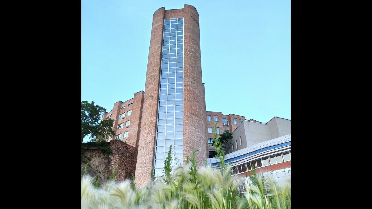 Институт биологии моря в контексте