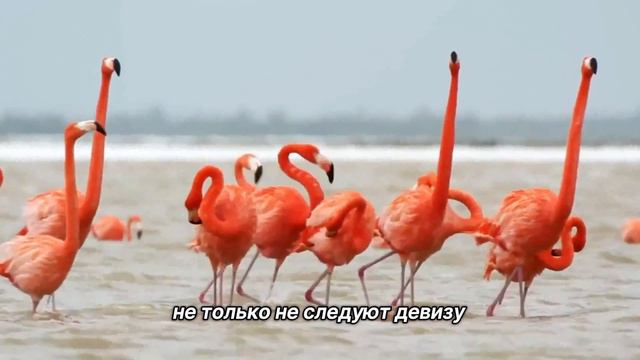 Свидетельства любви Бога. 11 июня. День за днем в Ал-анон. Ежедневник для созависимых.