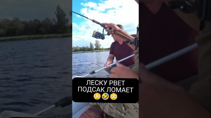 ТОПОВАЯ СНАСТЬ #fish #fishing #рыбалка #рек #рек #окунь