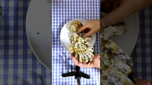 Дикие устрицы