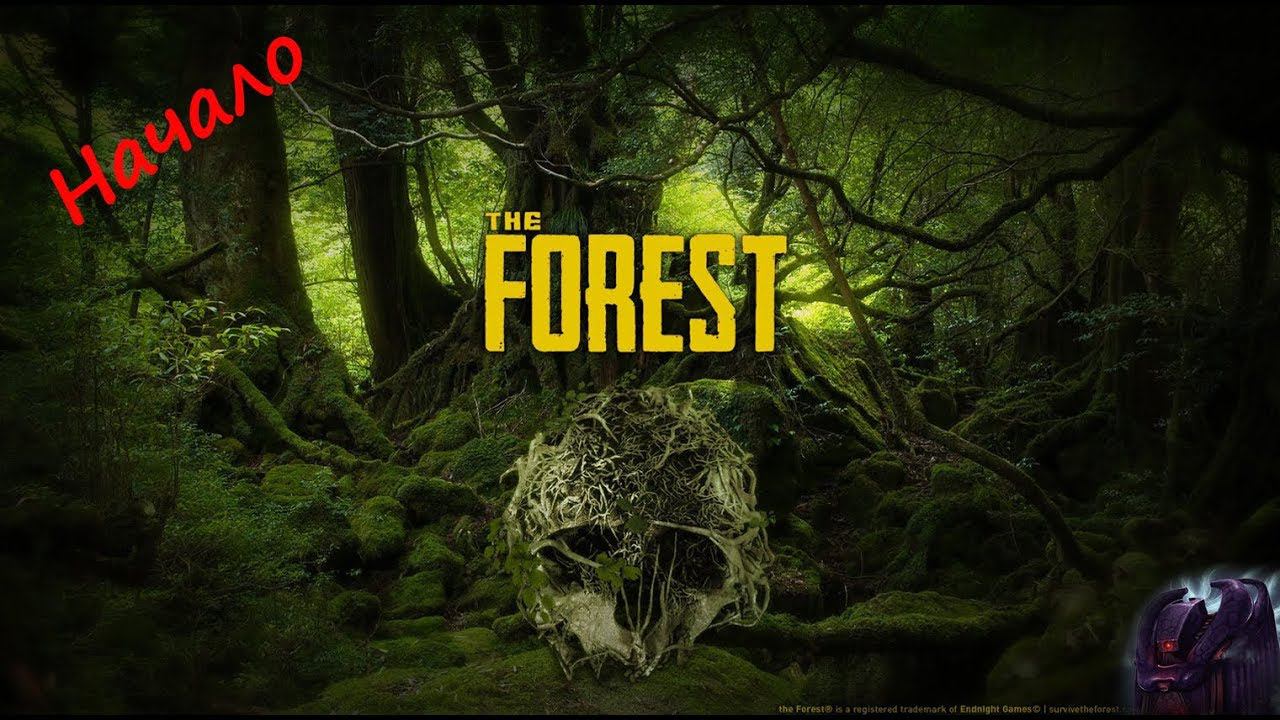 The Forest - продолжаем строить дом.