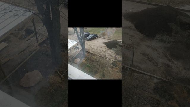 Вот такие дебилы. Бить таких надо