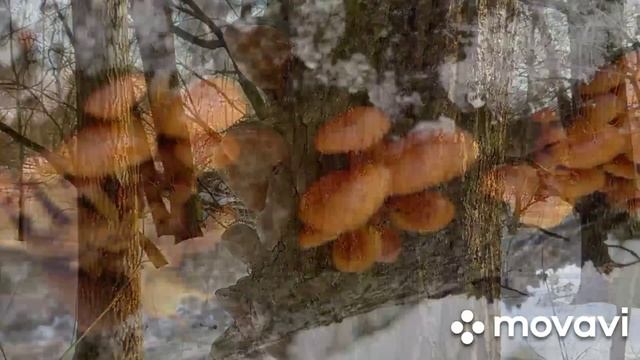 ❗ИТОГИ 2022 ГОДА❗ЯНВАРЬ-МАРТ❗