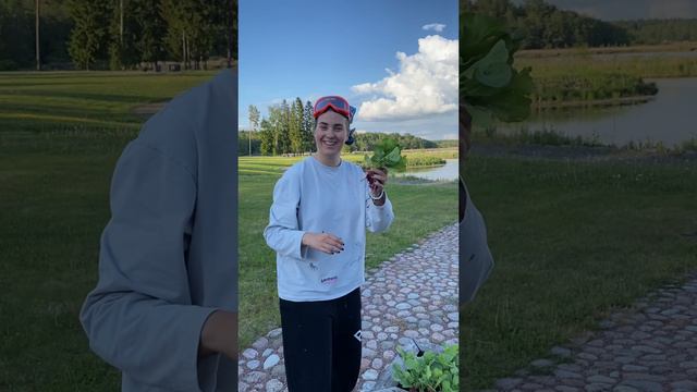 Работа работой, а сбор урожаю по расписанию #12 женщин