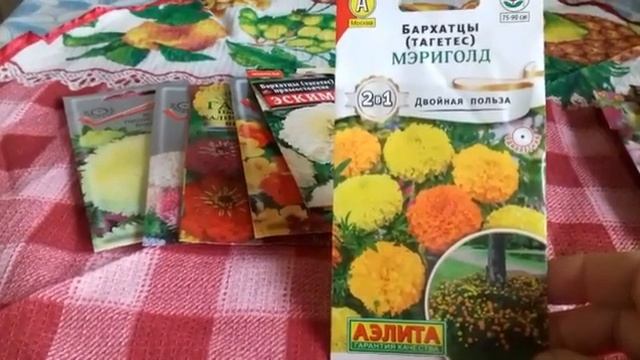 Самые неприхотливые  цветы для цветочной клумбы.