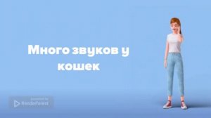 10 фактов о кошках