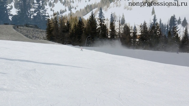 Тесты горных лыж сезона 2013-2014. NORDICA DRIVE