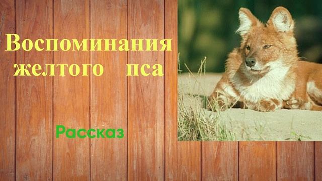 Воспоминания желтого пса - новелла  О. Генри.