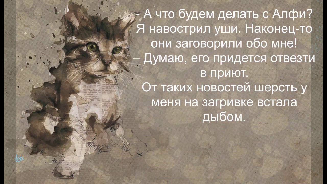 Буктрейлер по книге Рейчел Уэллс "Кот по имени Алфи"