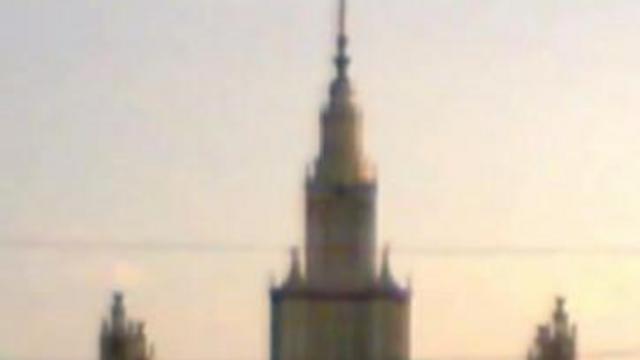 виды 2005