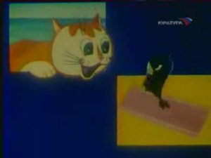Кит и кот