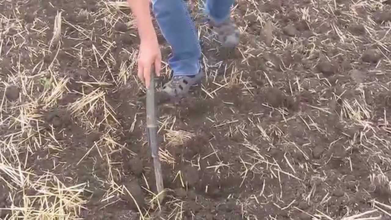 Борона дисковая БДМВ 2,3х2 КД "Кортес" производства ООО "БДТ-АГРО" против Амазон Катрос