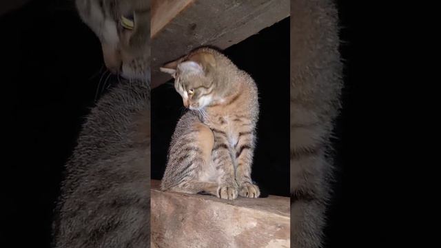 1000005226.mp4