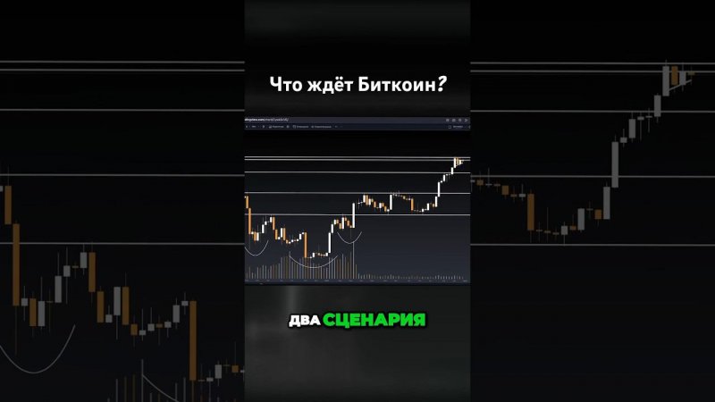 Что ждёт биткоин в 2024 году? #анализ #трейдинг #биткоин
