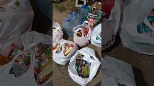 Ребята порадовали волонтера и ее приют доставкой провианта