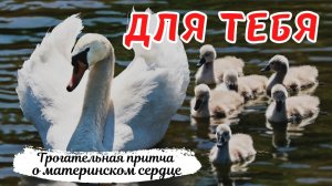 ?О материнском сердце. До слез как трогательно!