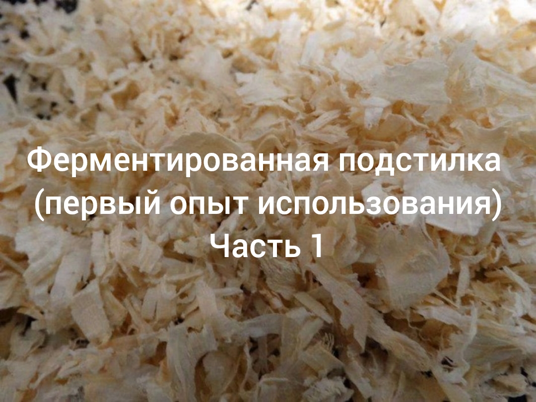 Ферментированная подстилка часть 1