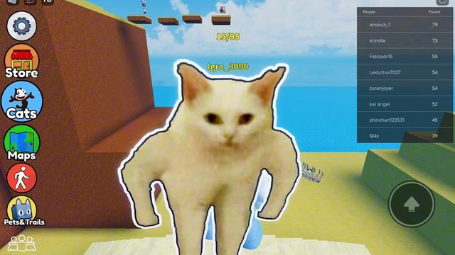 Кэт