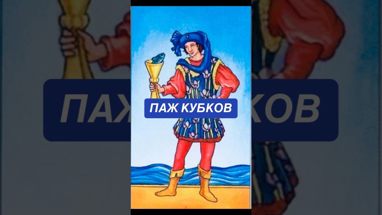 ПАЖ КУБКОВ