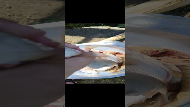 7 часть рыбалки