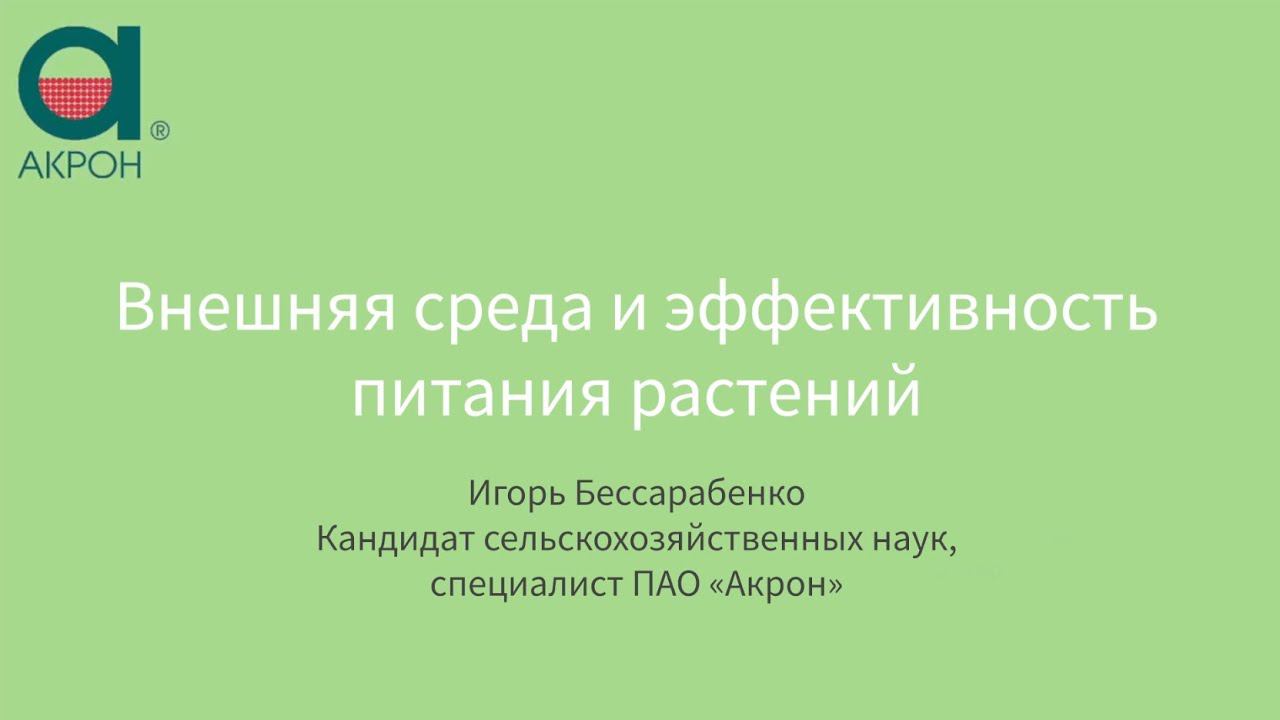 Внешняя среда и эффективность питания растений