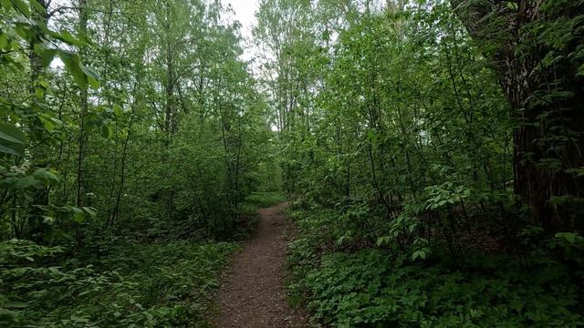 Грустная музыка из Тик Тока без слов для фона. Фоновая музыка для Стихов Цитат