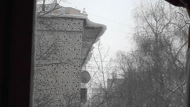 Снег метель 2023 Самка снегиря в конце 354654654 DSCN5031