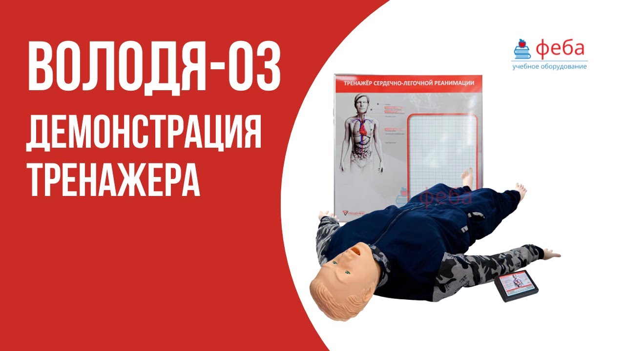 ВОЛОДЯ-03. Тренажер СЛР с контроллером и табло