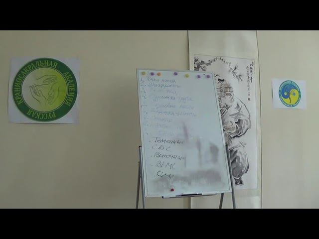 Семинар Краниосакральная терапия 2 КСТ2_014