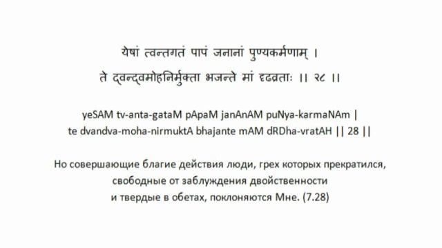 Бхагавад Гита курс Свамини Видьянанды Сарасвати - 252 Глава 7 Шлока 28