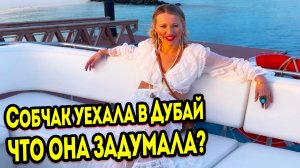 Ксения Собчак вместе с детьми и мужем уехали в Дубай, последние новости про Собчак