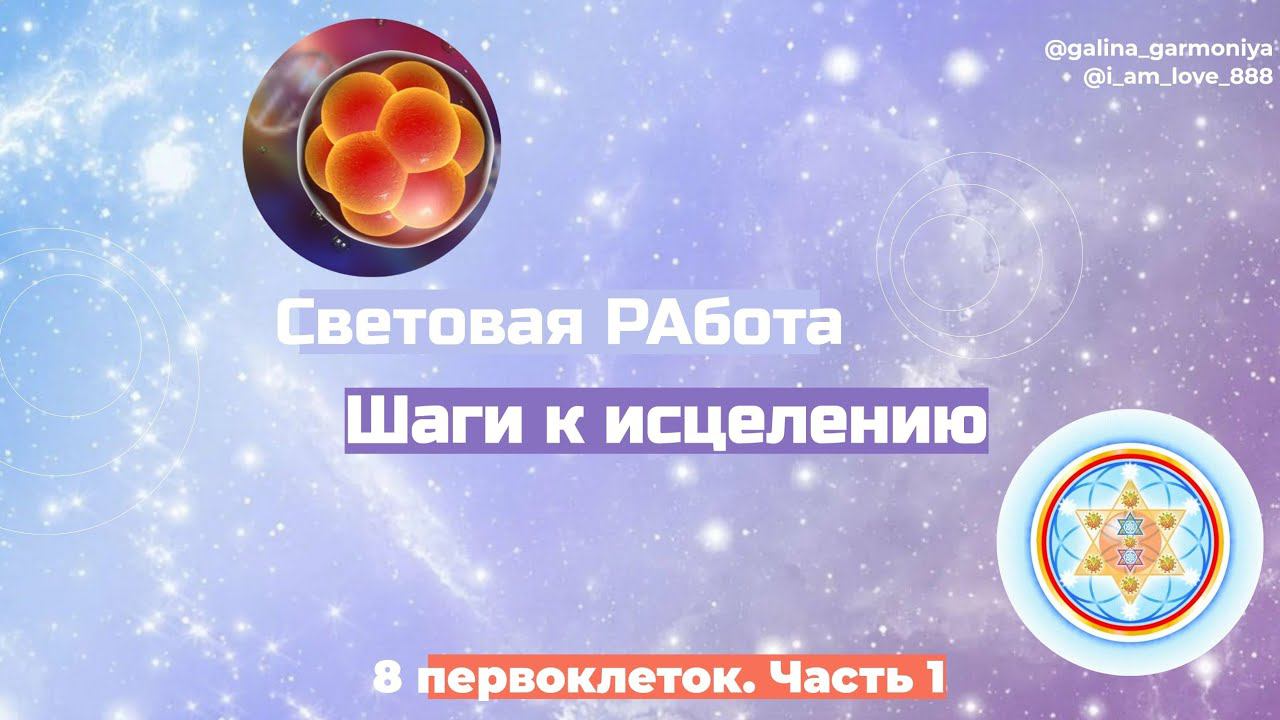 Шаги к исцелению.  8 первоклеток.  Часть 1