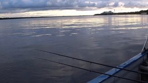 РЫбалка на ЛЕща. Лещ с ведро