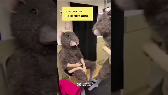 работа
ожидание и реальность