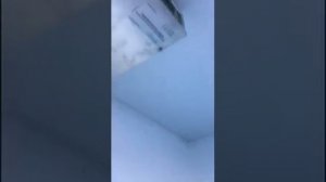 ??? Холодильная камера для цветов ❄️❄️❄️