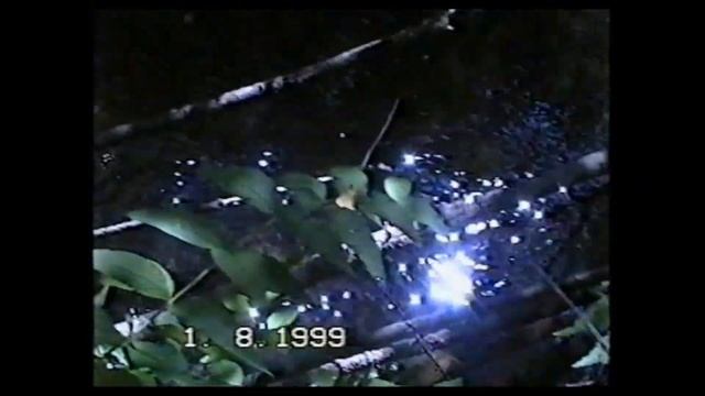 1999     Звездная страна