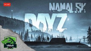 🎮Выживание в DayZ #24🎮 Сегодня холодно 🎮 #dayz #dayzstream #стрим #stream
