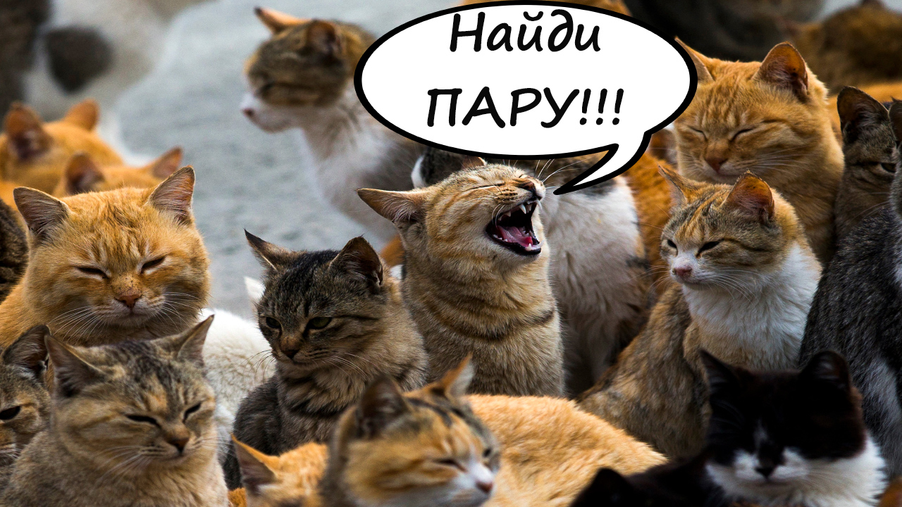 Челлендж. Игра с карточками найди пару!
