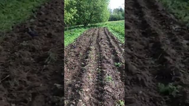 Kubota Дисковый плуг пахота отзыв