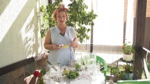 Домашний лимонад: как самостоятельно приготовить освежающий напиток