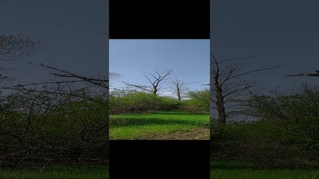 Самолёты ВС РФ.Летят с работы)Z??