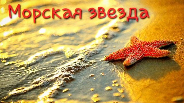 Морская звезда (притча)