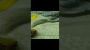 VID_20230814_211823.mp4