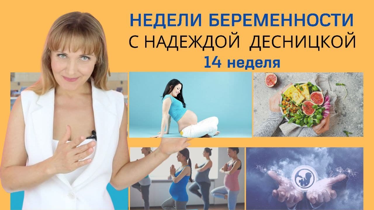 Недели беременности с Надеждой Десницкой | Пора переходить к активным действиям!