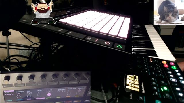 Digitakt/Digitone/Cycles/Push jam. 102/1000 TSTS (Thousand Steps To Success)