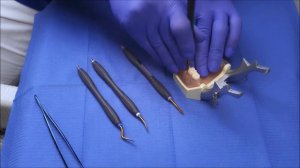 ES How to use  -  Luxator & Luxator P Series   Extraction Workflow with Dr  Manouchehr Kiaei