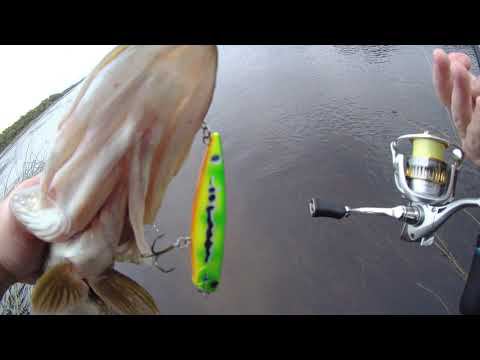 рыбалка на реке Онега. walker от компании Tsurinoya. спиннинг